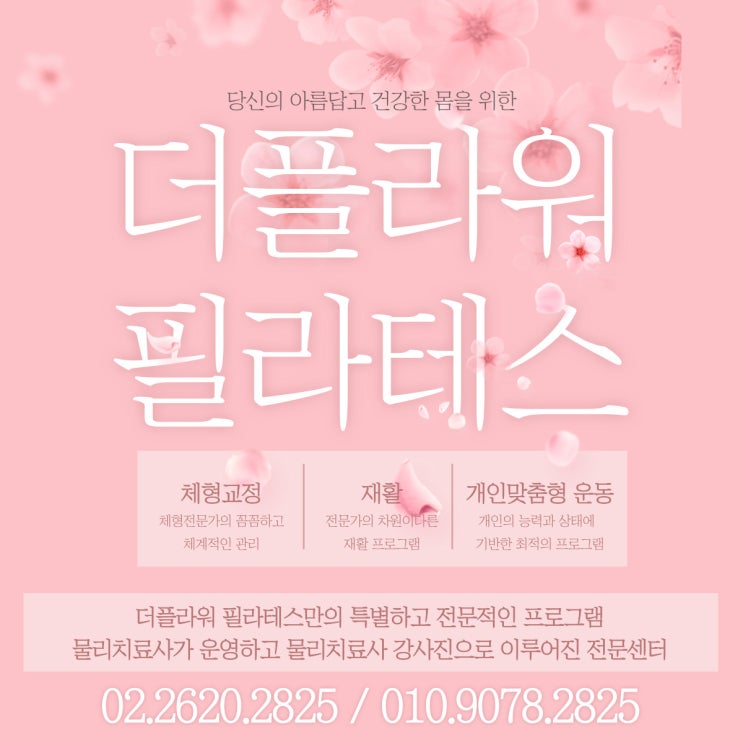 화곡역 필라테스 ㅣ 더플라워 필라테스 네이버 블로그