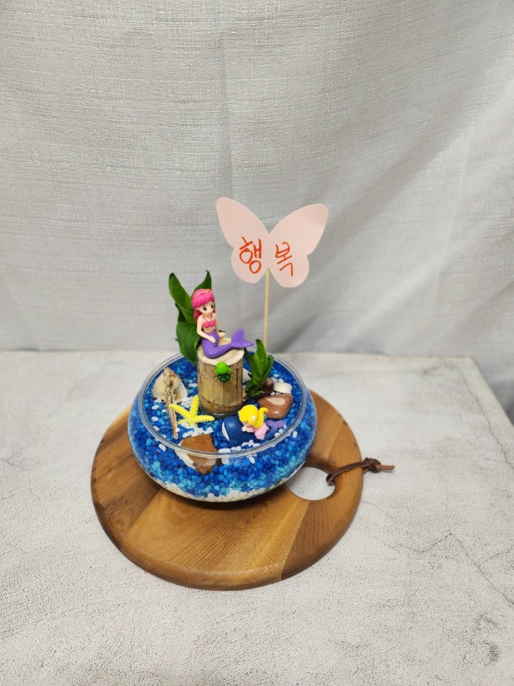 광진 성동 강동 강남 하남 송파 오류 마천 거여 유치원 방학 원예프로그램 수경심기키트 택배 개별 배송 네이버 블로그