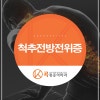 수지구정형외과 척추전방전위증 지속적인 허리통증 유발해 네이버 블로그