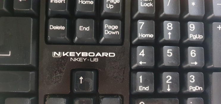 데스크톱 PC 키보드 커버 nkey-1 키스킨(key skin) 교체 : 네이버 블로그