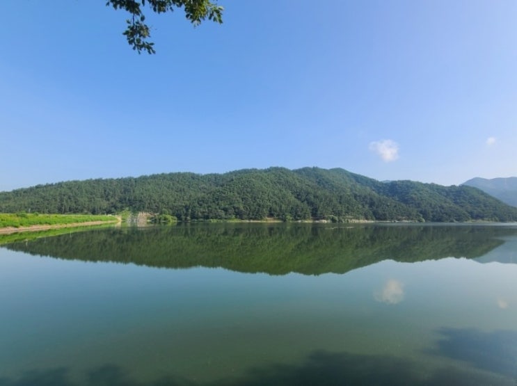 김제 가볼 만한 곳 원평 금평저수지 수변로 걷기8월 19일 네이버 블로그