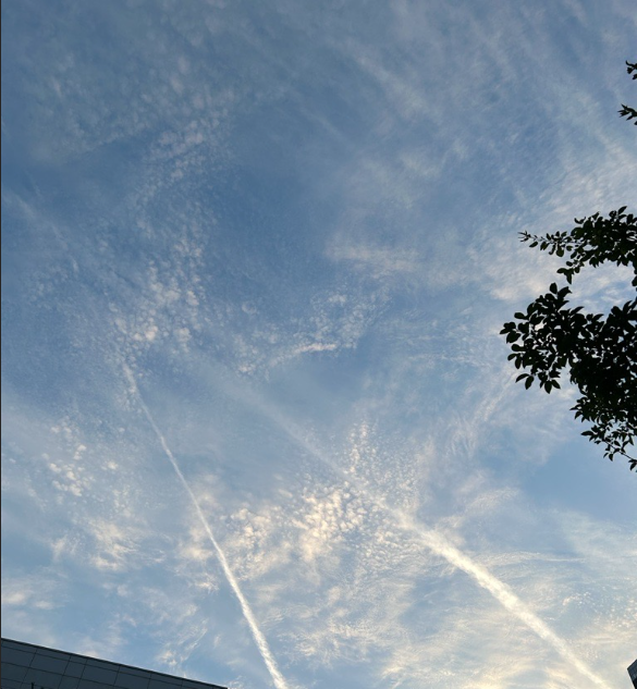 너무 간절하게 바라면 잘 안되는 이유.. (끌어당김?) : 네이버 블로그