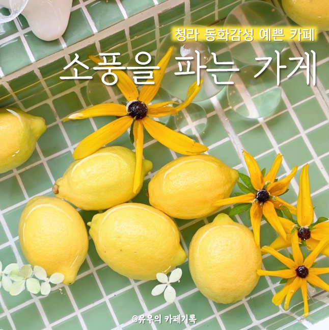 인천청라 소풍을 파는 가게 계절마다 인테리어가 바뀌는 동화감성 카페8월 방문 네이버 블로그