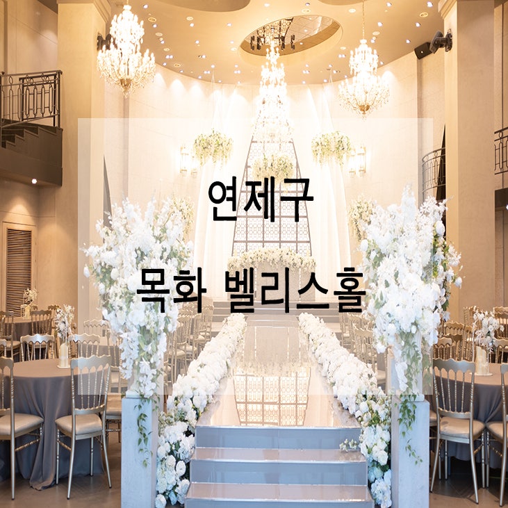목화웨딩홀 벨리스홀 부산 연제구 목화웨딩홀 벨리스홀화이트홀 홀투어 부산웨딩플래너추천 윤다정플래너웨딩을그리다 네이버 블로그