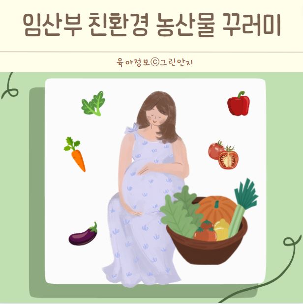 임산부 친환경 농산물 꾸러미 에코이몰 지원자격 신청 기간 방법 네이버 블로그