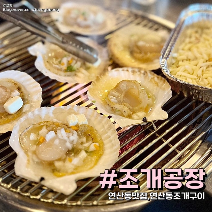 부산 연산동 맛집 조개공장 신선한 조개구이가 있는 찐맛집 네이버 블로그