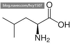 BCAA(Branch-chain amino acids)에 대한 모든 것 : 네이버 블로그