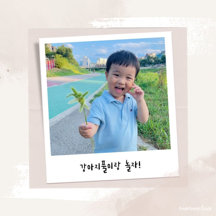 강아지풀 토끼 만들기부터 할 수 있는 엄마표 자연놀이 네이버 블로그