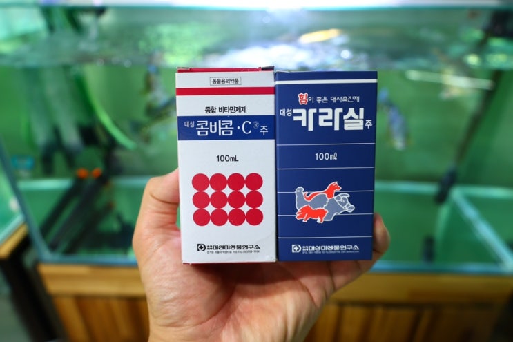 대형어 ‘대사 촉진제’ 사용법과 효과 / 누웠던 다트니오를 일으키다!!! : 네이버 블로그