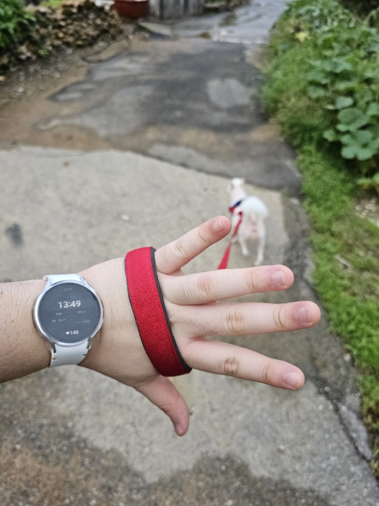 갤럭시워치6로 러닝 측정하기 : 네이버 블로그