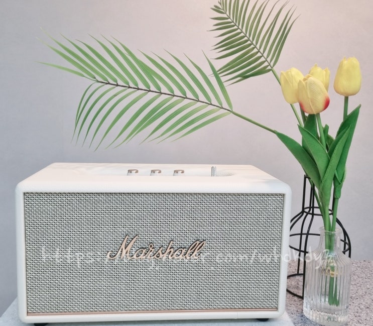 마샬 스탠모어3 구매 후기 (Marshall Stanmore 3) 및 정품 식별 방법 : 네이버 블로그