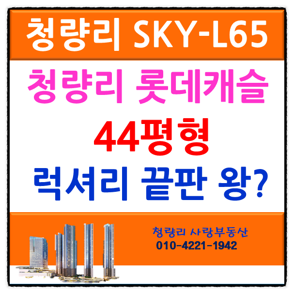 청량리역롯데캐슬스카이SKY-L65 44평형 럭셔리 하우스를 소개합니다. (1탄) : 네이버 블로그