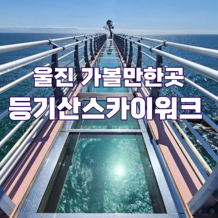 울진여행 등기산 스카이워크 울진 가볼만한곳 네이버 블로그