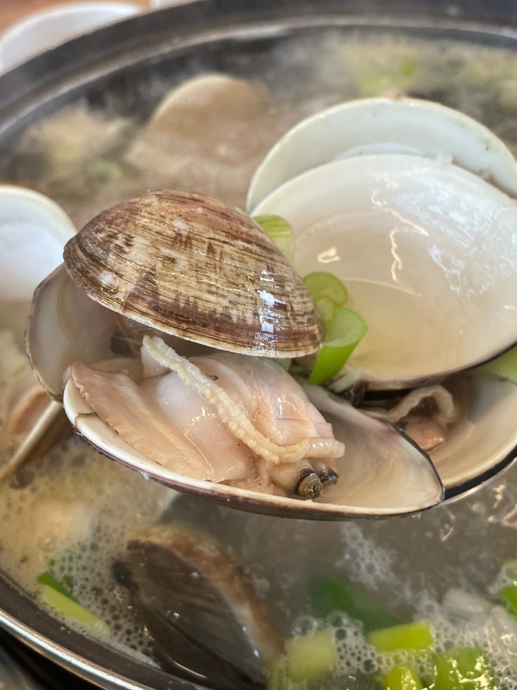 안산 대부도 신선한 백합조개와 시원한 국물이 일품인 백합칼국수 맛집 삐쭉이 백합칼국수 네이버 블로그