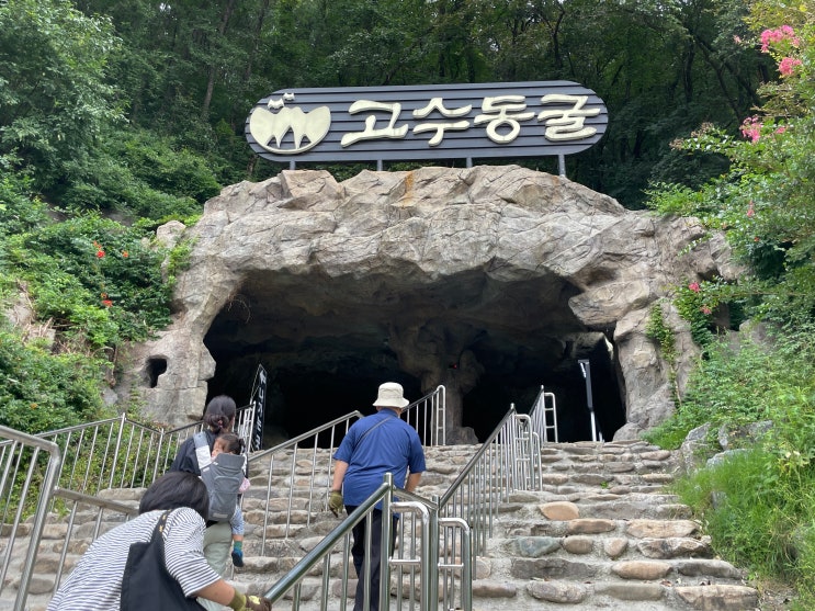 단양 고수동굴 한번쯤은 가봐야할 곳(근처 밥집 산채비빔밥) : 네이버 블로그