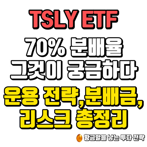 TSLY ETF 투자목적 분배금 커버드콜전략 Q&A : 네이버 블로그