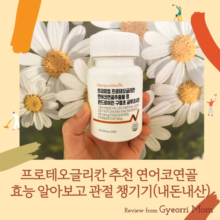 프로테오글리칸 추천 연어코연골 효능 알아보고 관절 챙기기feat 내돈내산 네이버 블로그