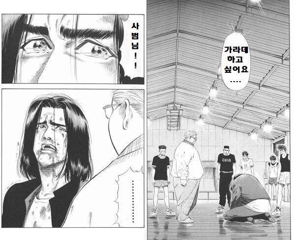 도장개관 4주년이 금새 지났습니다” 도봉구 유일의 극진가라데 전문 도장이자 킥복싱과 종합격투기mma도 하는 사도관 한국지부