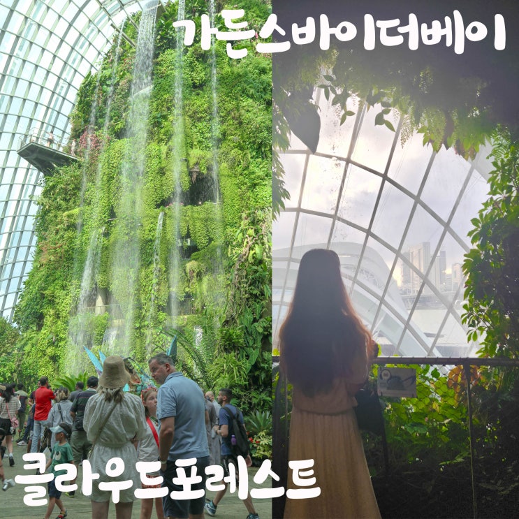 싱가포르 자유여행 가볼만한곳 가든스바이더베이 클라우드포레스트 볼만해 네이버 블로그