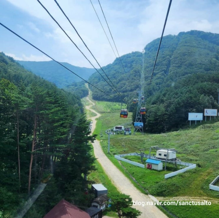 평창 모나 용평리조트 발왕산 케이블카투어 네이버 블로그