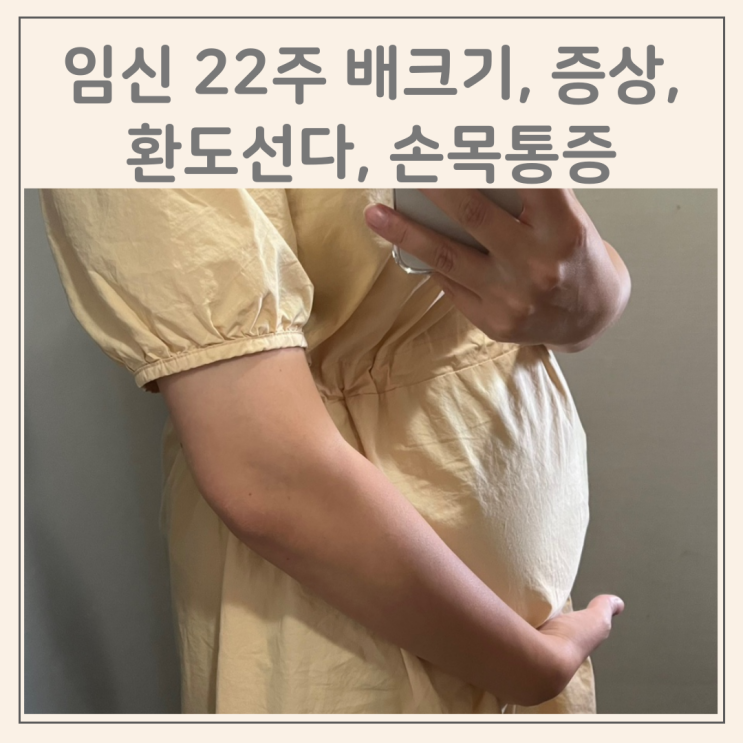 임신22주 배크기 증상 환도선다 손목통증 네이버 블로그