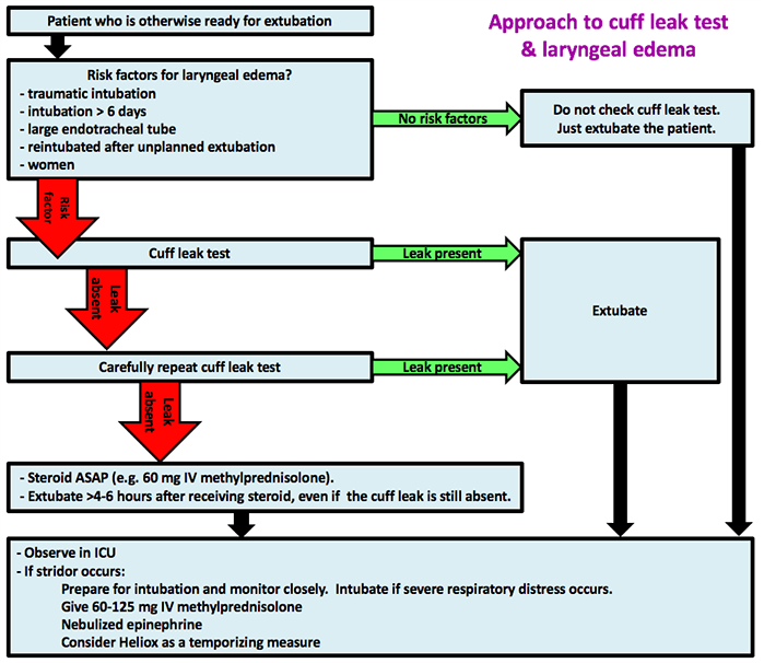 Cuff leak test : 네이버 블로그