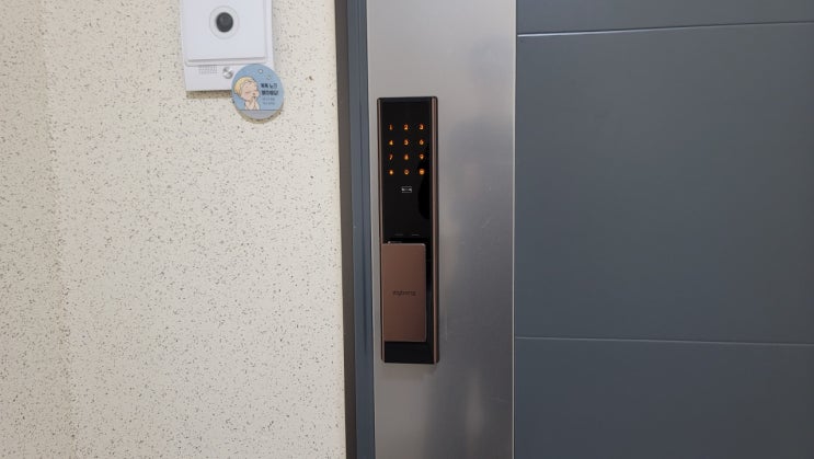 세종도어락추천,새샘마을6단지에 직방[구,삼성]푸시풀 SHP-DP751설치 : 네이버 블로그