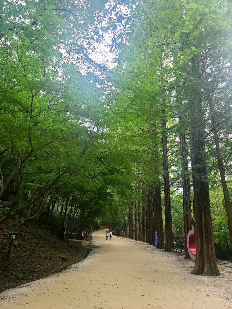 전북 순창 아이와 가볼만한곳 강천사 계곡 맨발걷기 좋은곳 (입장료,주차장,야간개장) : 네이버 블로그