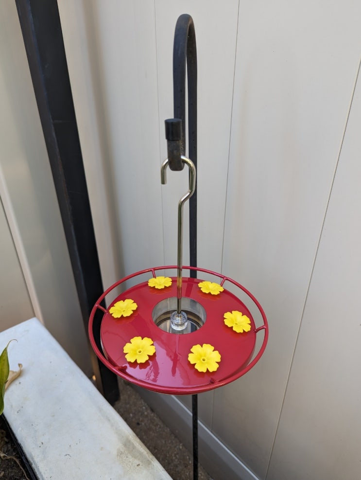 Hummingbird Feeder Upgrade : 네이버 블로그