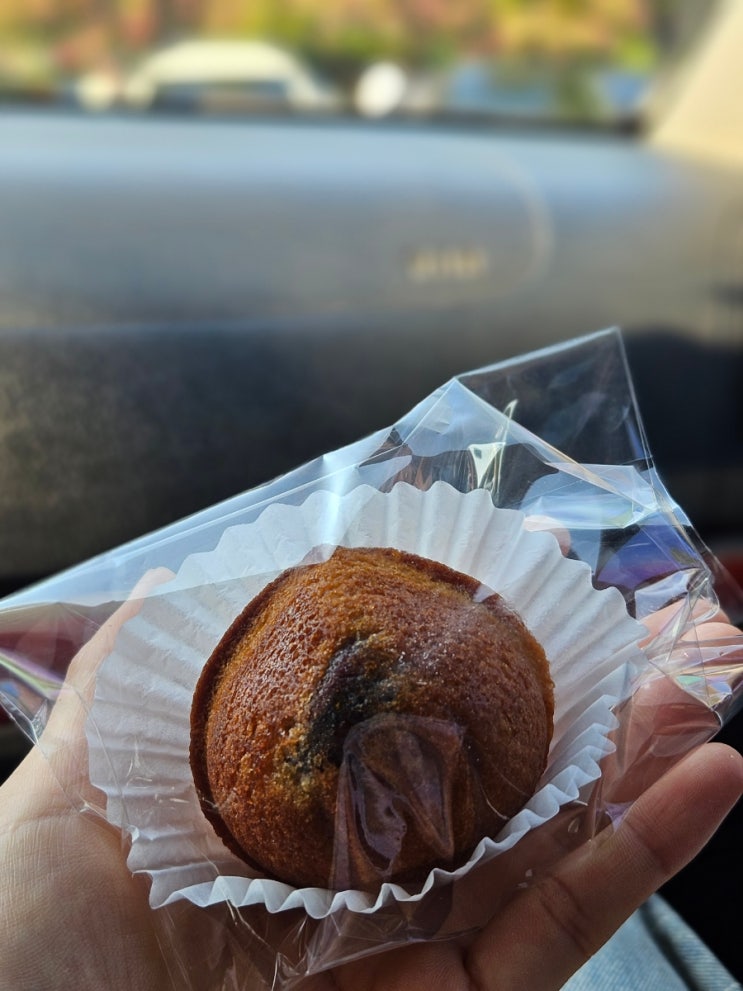대전 둔산동 갤러리아 타임월드에서 만나는 디저트 페어전국 맛집 투어 In 충청 네이버 블로그