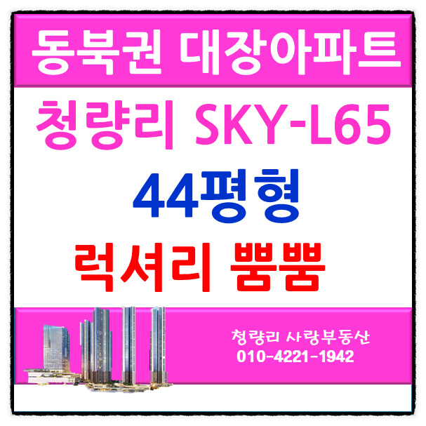 청량리역롯데캐슬SKY-L65 44평형 럭셔리 뿜뿜 하우스를 소개합니다. (2탄) : 네이버 블로그
