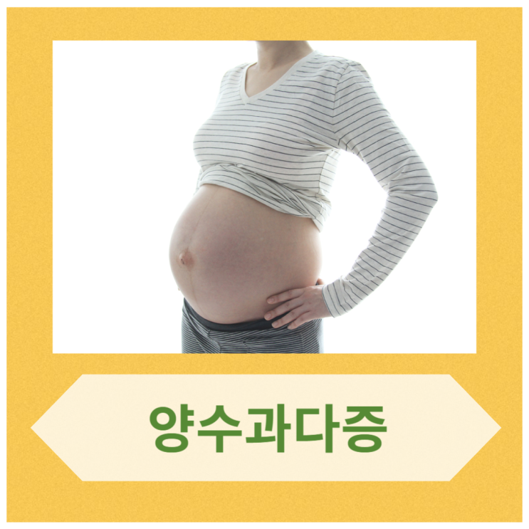 양수과소증 양수부족 할때 양수늘리기 양수과다증 증상 네이버 블로그