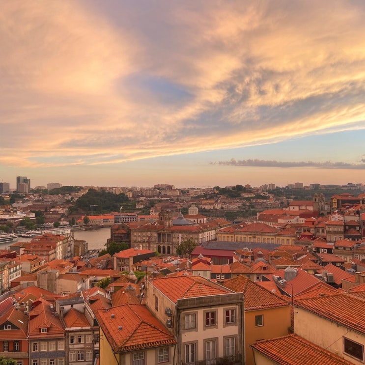 🇵🇹 포르투 3박 4일 2 ⚓️ 포르투 필름 카메라 포르투 노을 명소 포르투 대성당 포르투 기념품 리스트