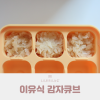 양배추큐브 이유식 야채큐브 만들기 초기 중기 후기 이유식 네이버 블로그