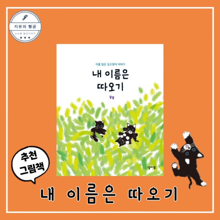 내 이름은 따오기ㅣ꼼꼼 작가의 길고양이 이야기 냉이꽃 추천 유아 창작 그림책 네이버 블로그