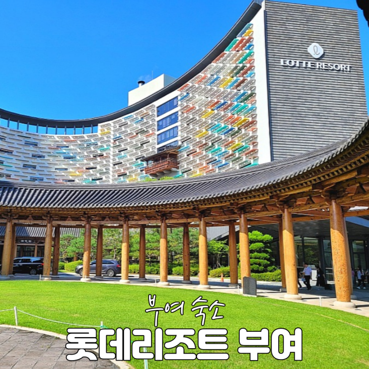 부여 호텔 숙소 롯데리조트 부여 클린 패밀리 분리형 투숙 후기 네이버 블로그