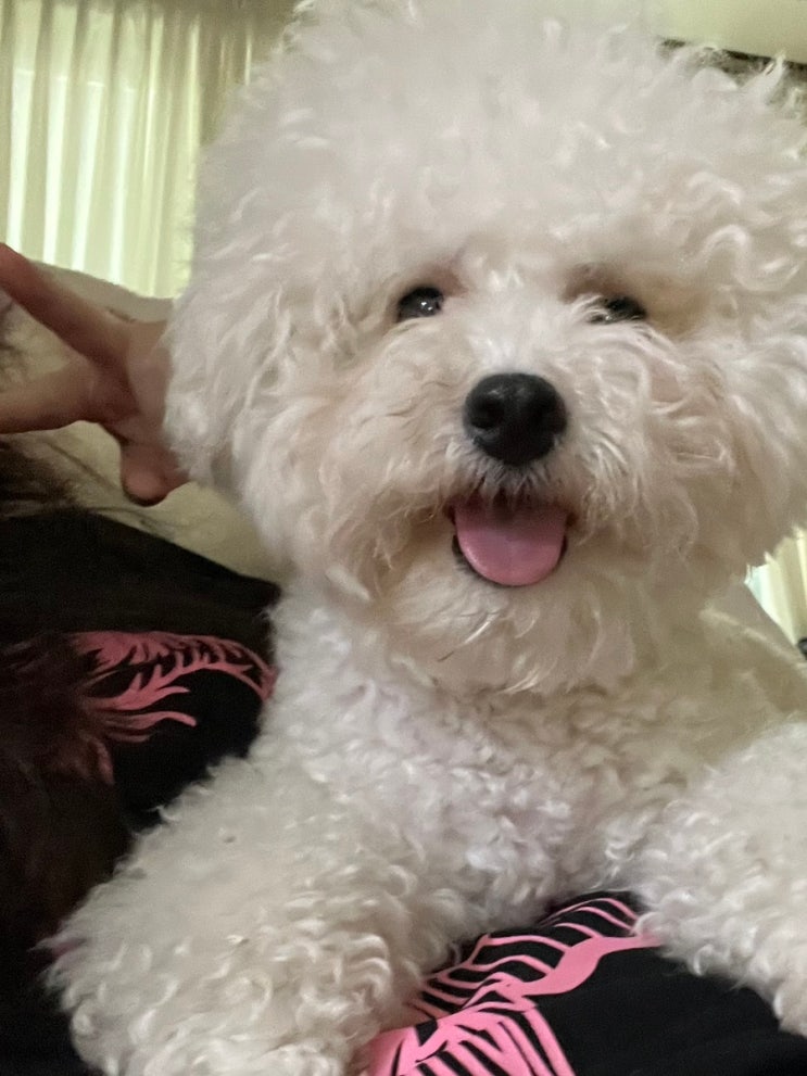 반가워 ~~ !! : 네이버 블로그