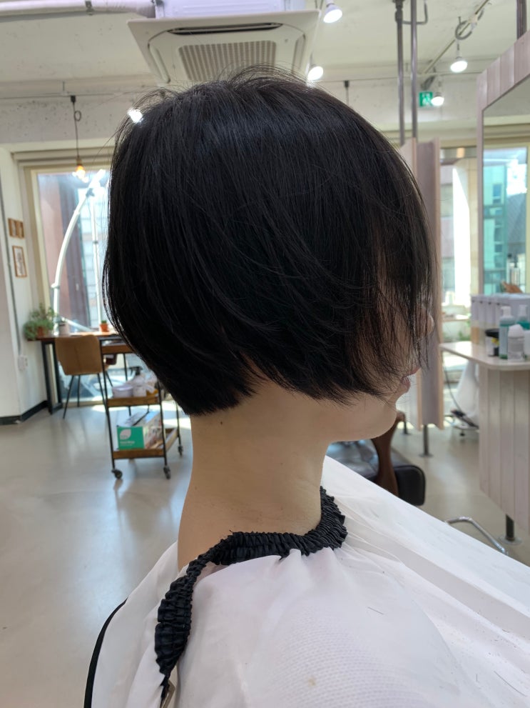 커트교육, 베이직커트가 중요한 여자컷트머리 : 네이버 블로그