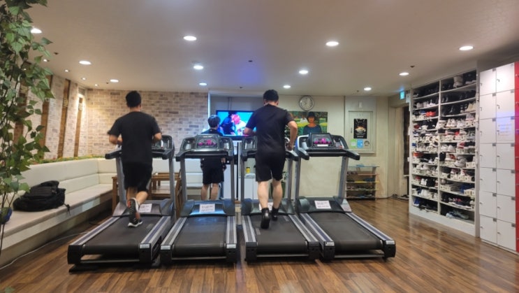 서초복싱 여성도 멋져질수있다 진짜 운동을 하고 싶다면 전용 헬스장 주차장 완비 네이버 블로그