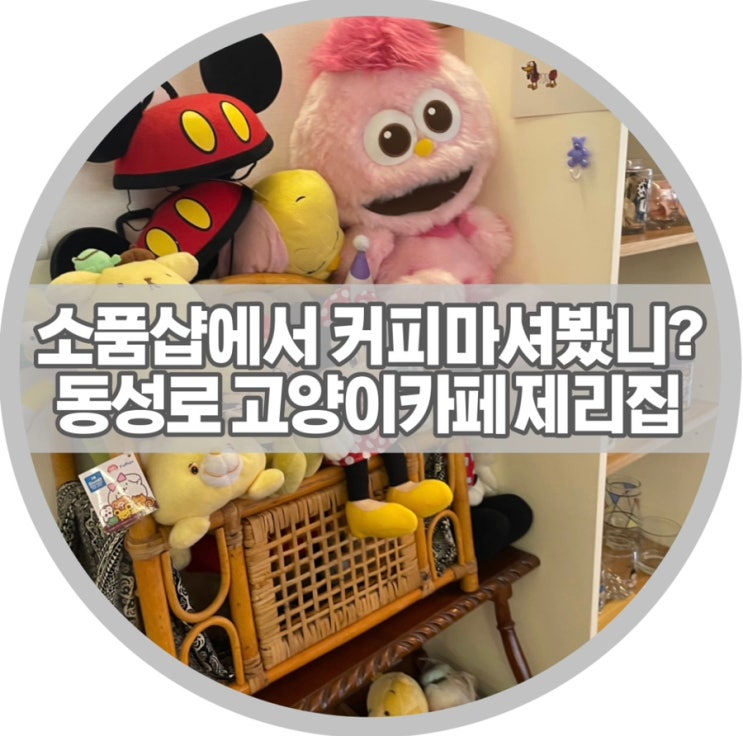 대구 동성로 신상 고양이 카페 아기자기한 소품샵 제리집 네이버 블로그