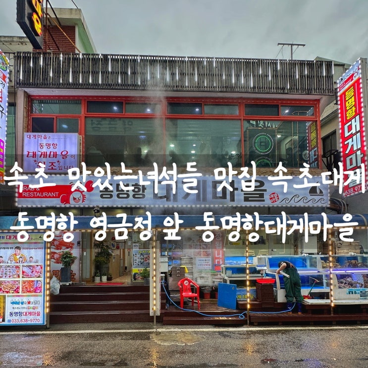 속초 먹거리 맛있는녀석들 방문한 속초대게 전문점 동명항 영금정 앞 동명항대게마을 네이버 블로그