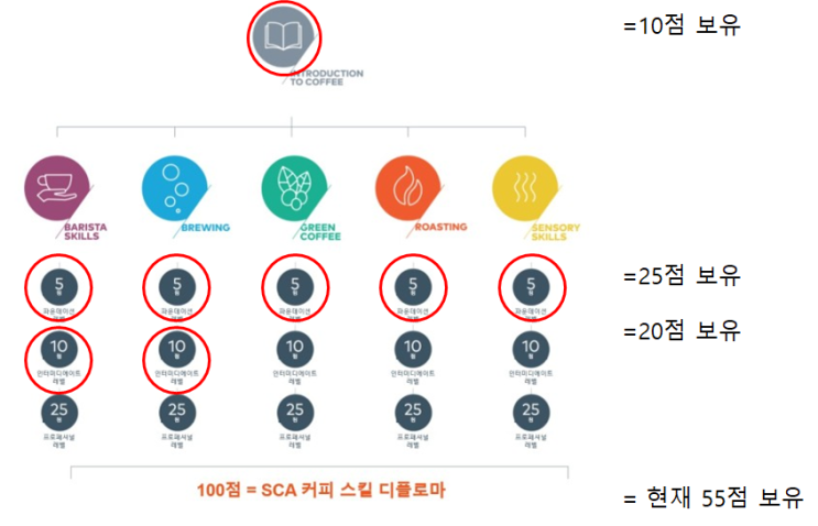 SCA CSP Professional 과정 : 네이버 블로그
