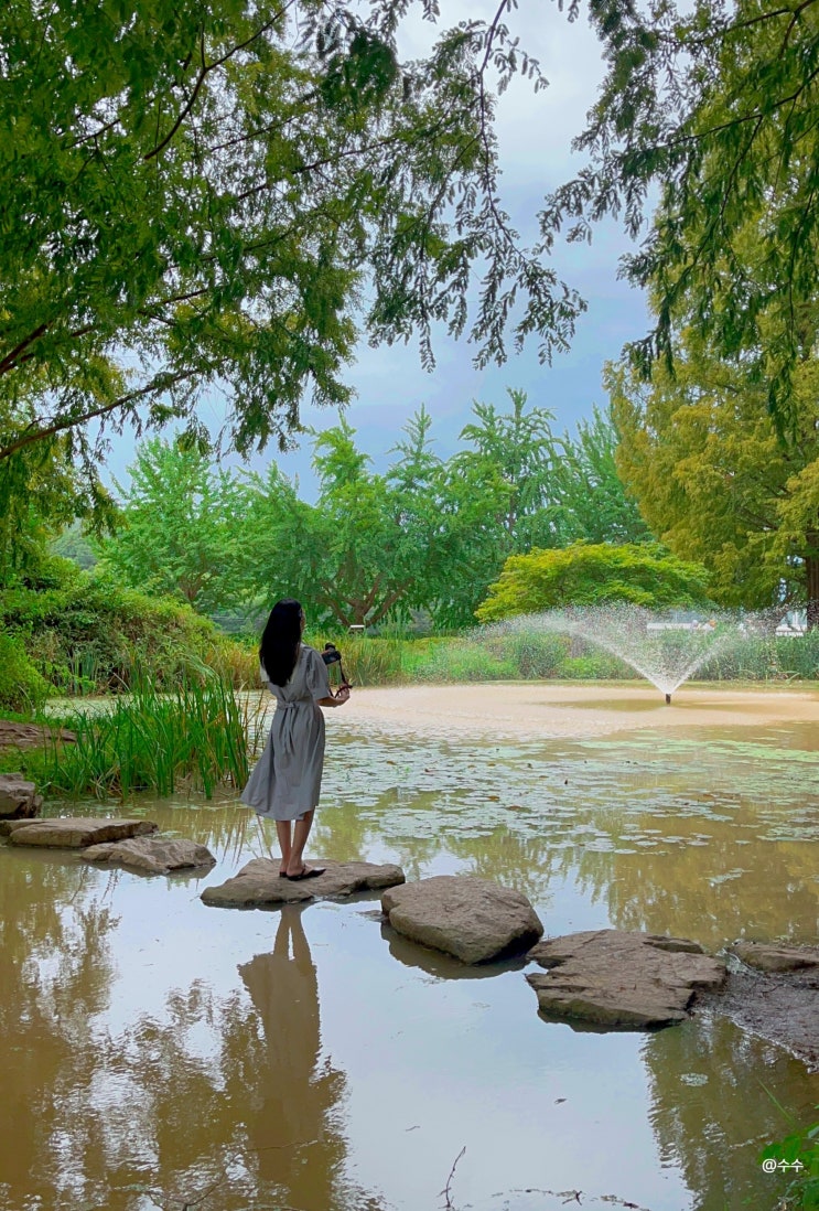 안동 여행 코스 낙강물길공원 비밀의숲 주차 카페 볼거리 드라이브 갈만한곳 네이버 블로그