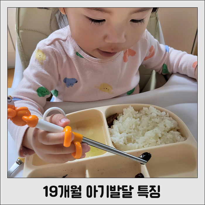 19개월 아기발달 특징언어 키 몸무게 등 네이버 블로그