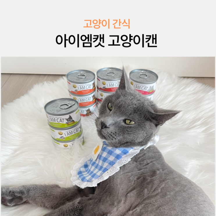 고양이캔 기호성좋은 습식사료 아이엠캣 궁디팡팡에서 만나요 네이버 블로그