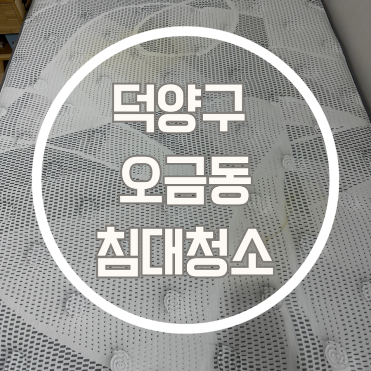 덕양구 오금동 라피아노 침대 매트리스 청소 세탁 강아지 오줌 얼룩 제거 네이버 블로그