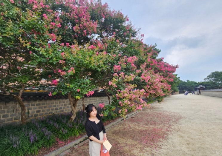 8월 전주 군산 여행 1 전주 한빛호텔 전주한옥마을 수제팥빙수 전동성당 전주경기전 네이버 블로그