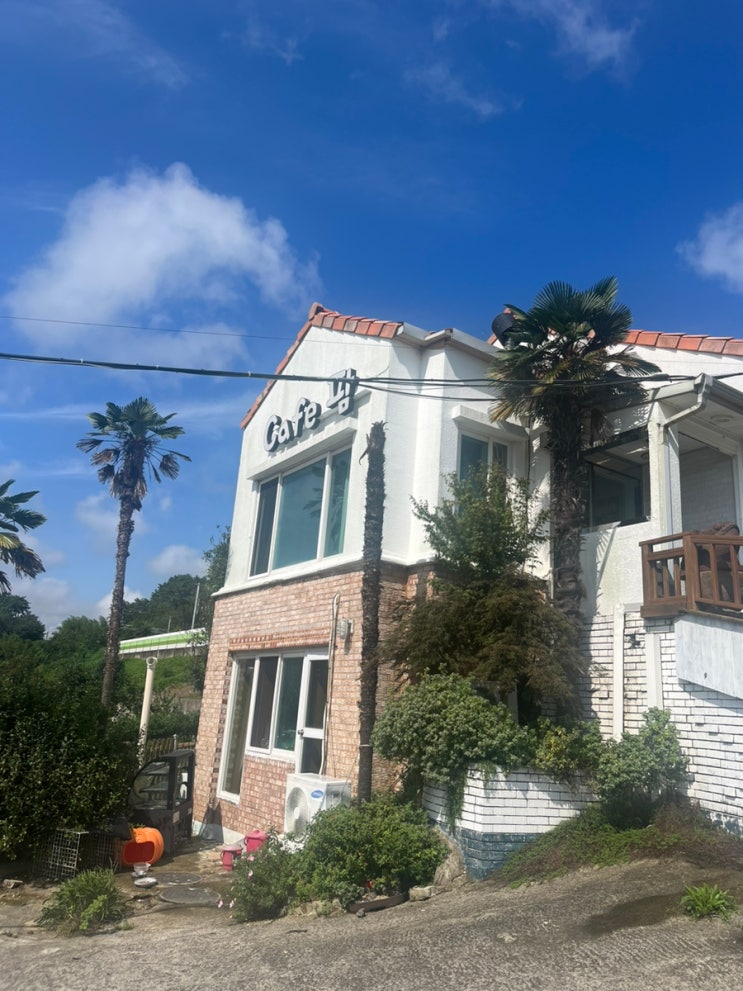 부산 기장 애견동반 팜카페 : 네이버 블로그