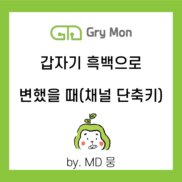 포토샵 팁포토샵 작업 중 화면이 갑자기 흑백으로 변했을 때 해결 네이버 블로그