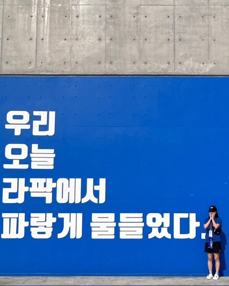 대구삼성라이온즈파크 시즌권 블루존 3 3구역 첫 야구 직관 8월 방문 후기 네이버 블로그